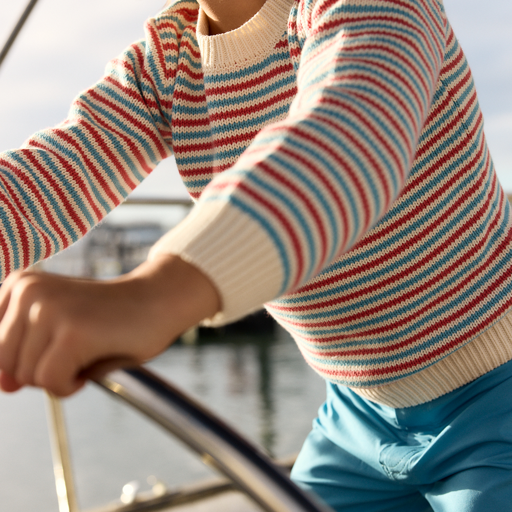 swim – minnow